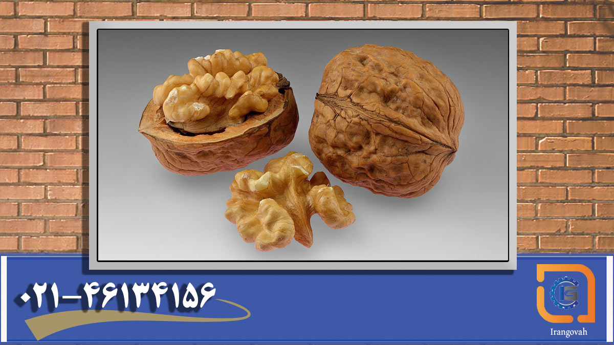 ایزو 16050 - استاندارد آجیل و خشکبار - ایران گواه